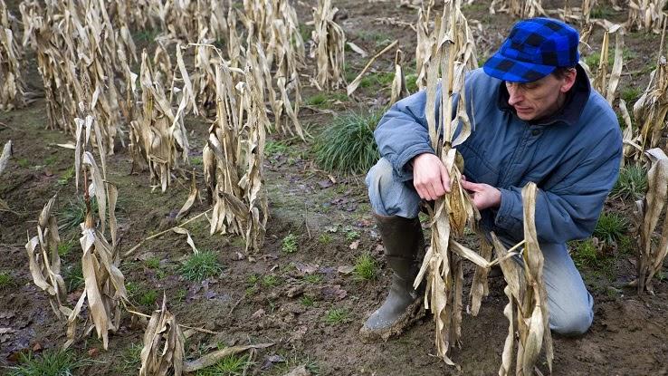 What Is Commodity Money?